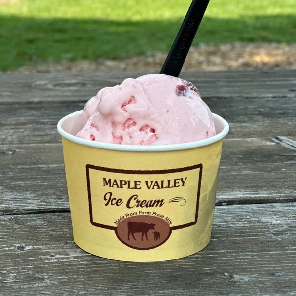 Ice Cream Window | Langwater Farm